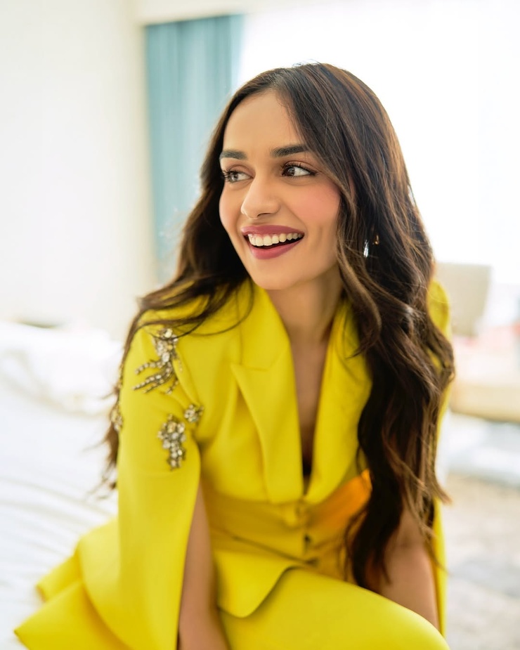 Picture of Manushi Chhillar