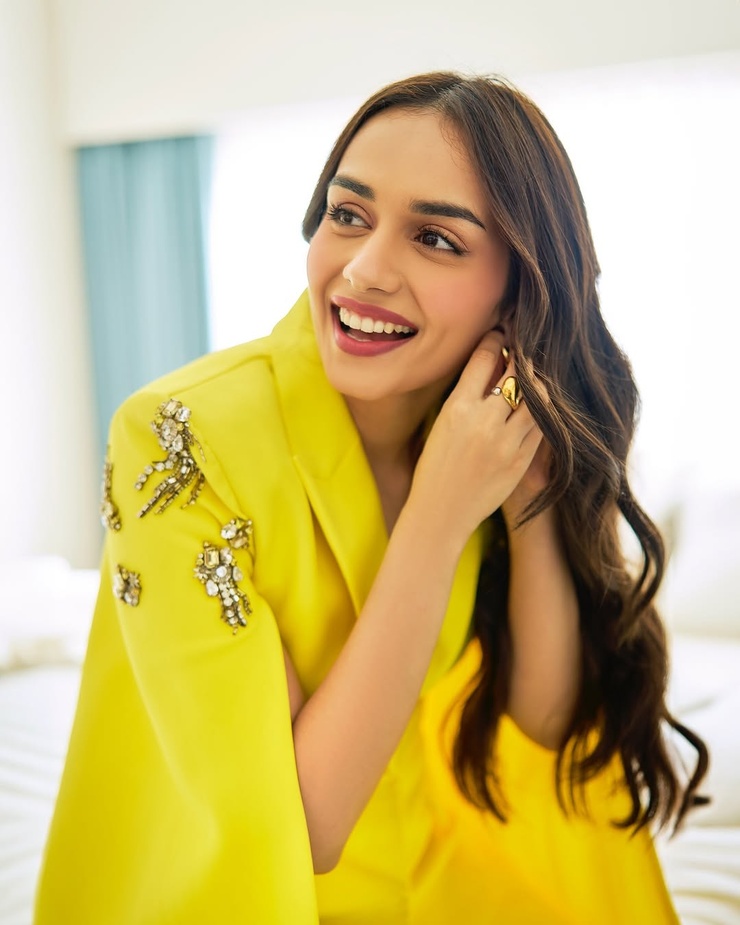 Picture of Manushi Chhillar