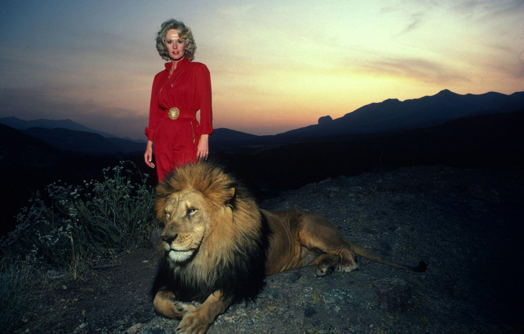 Image of Tippi Hedren