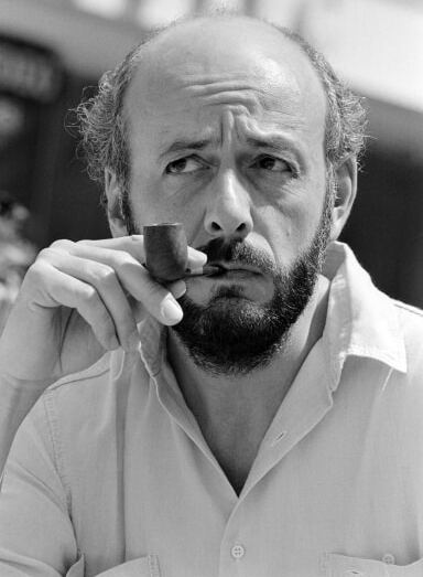 Bertrand Blier image