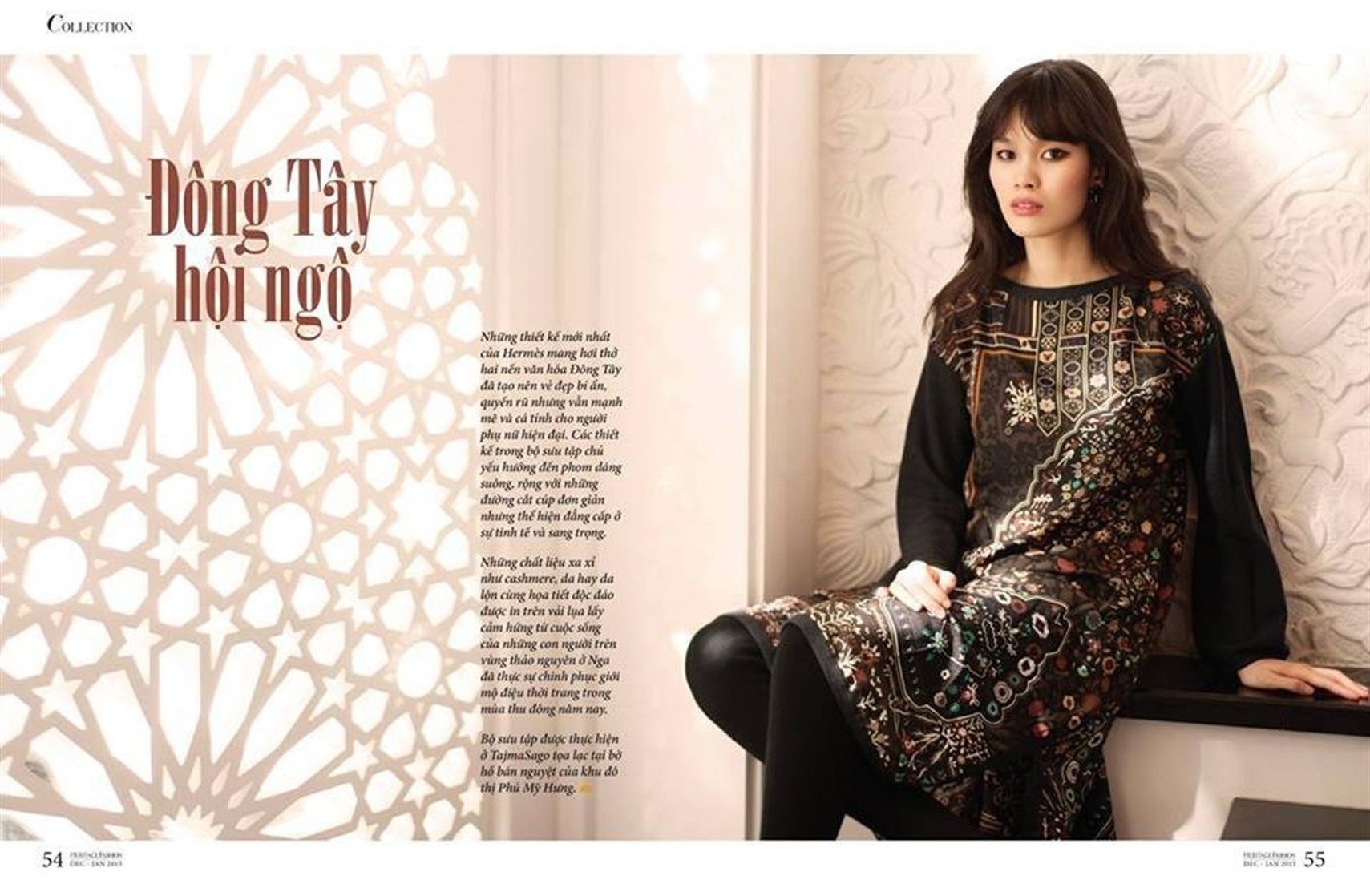 Picture of Chi Nguyen model