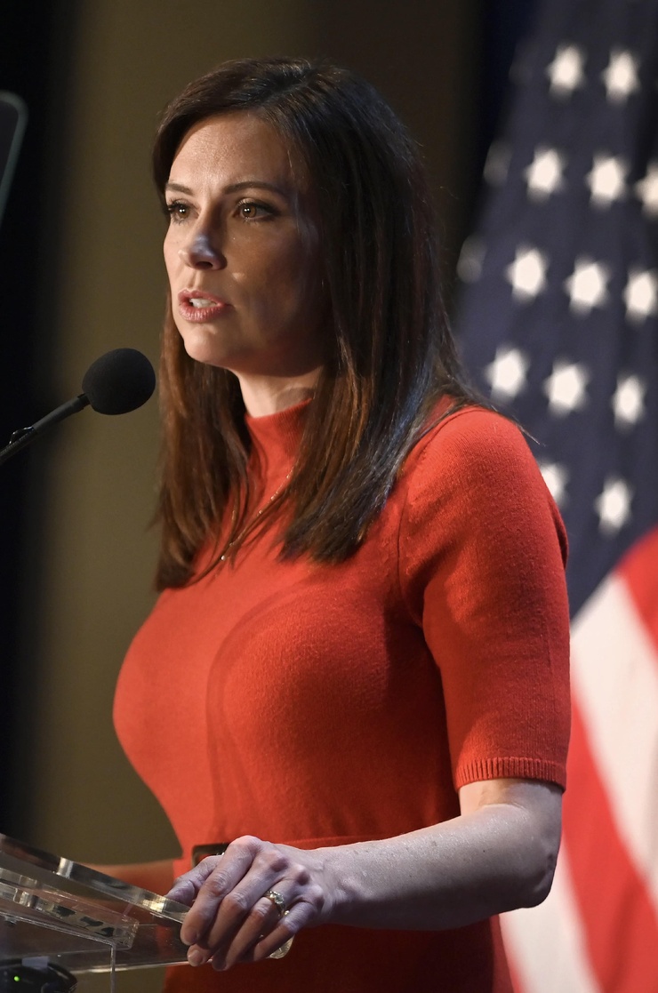 Picture of Tudor Dixon