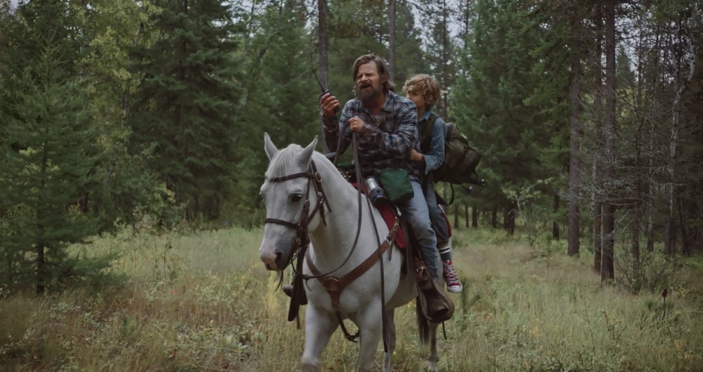 Cowboys (2020)