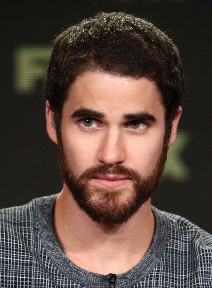 Picture of Darren Criss