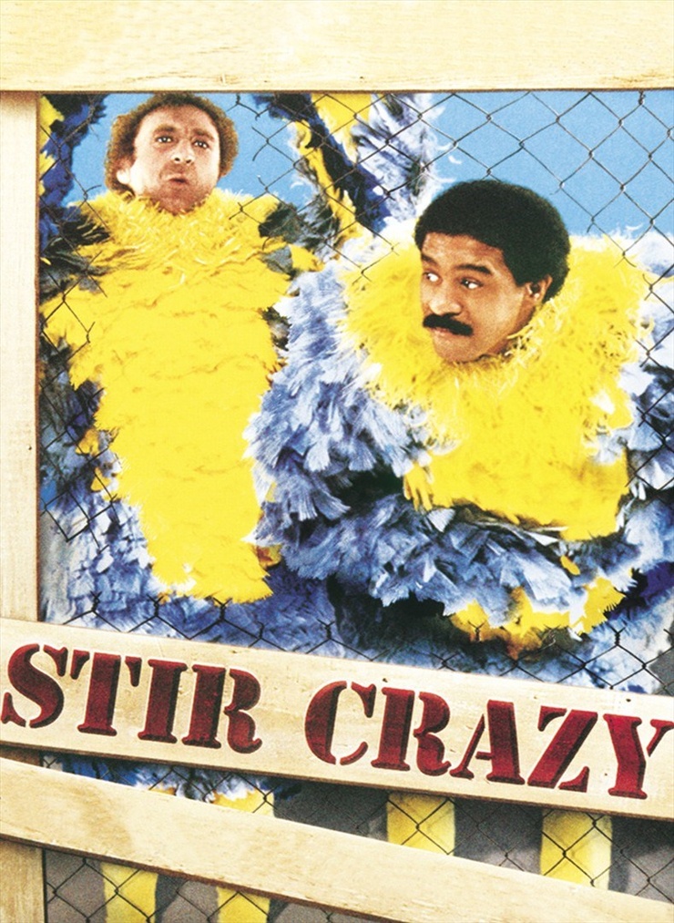 Image of Stir Crazy
