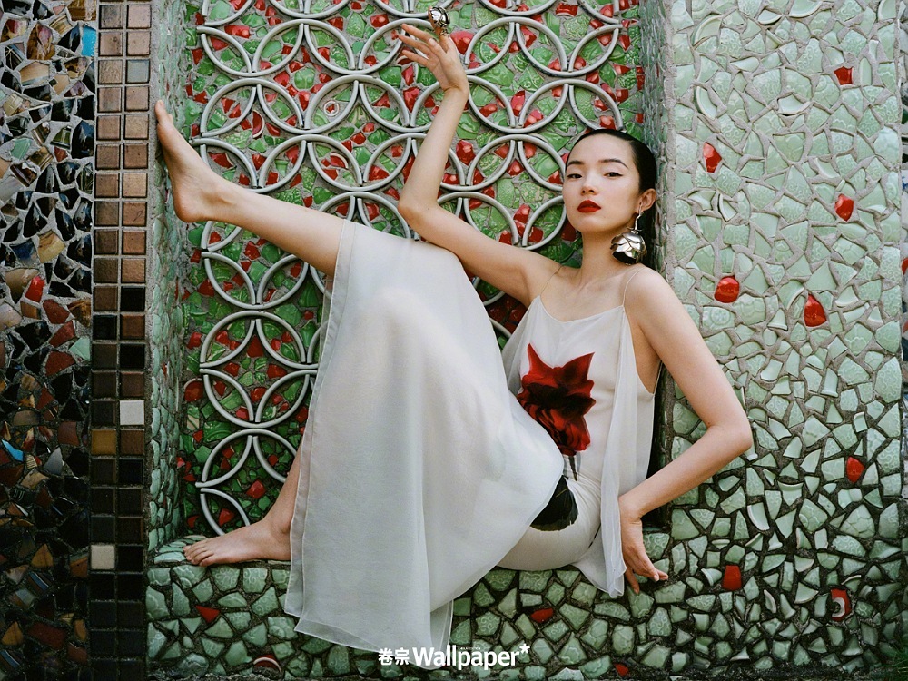Picture of Xiao Wen Ju