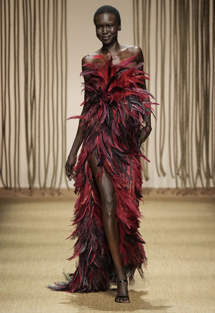 Picture of Alek Wek