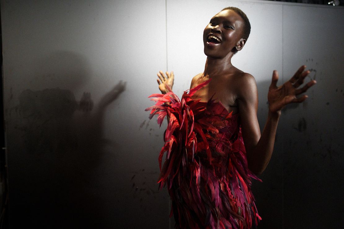 Alek Wek picture
