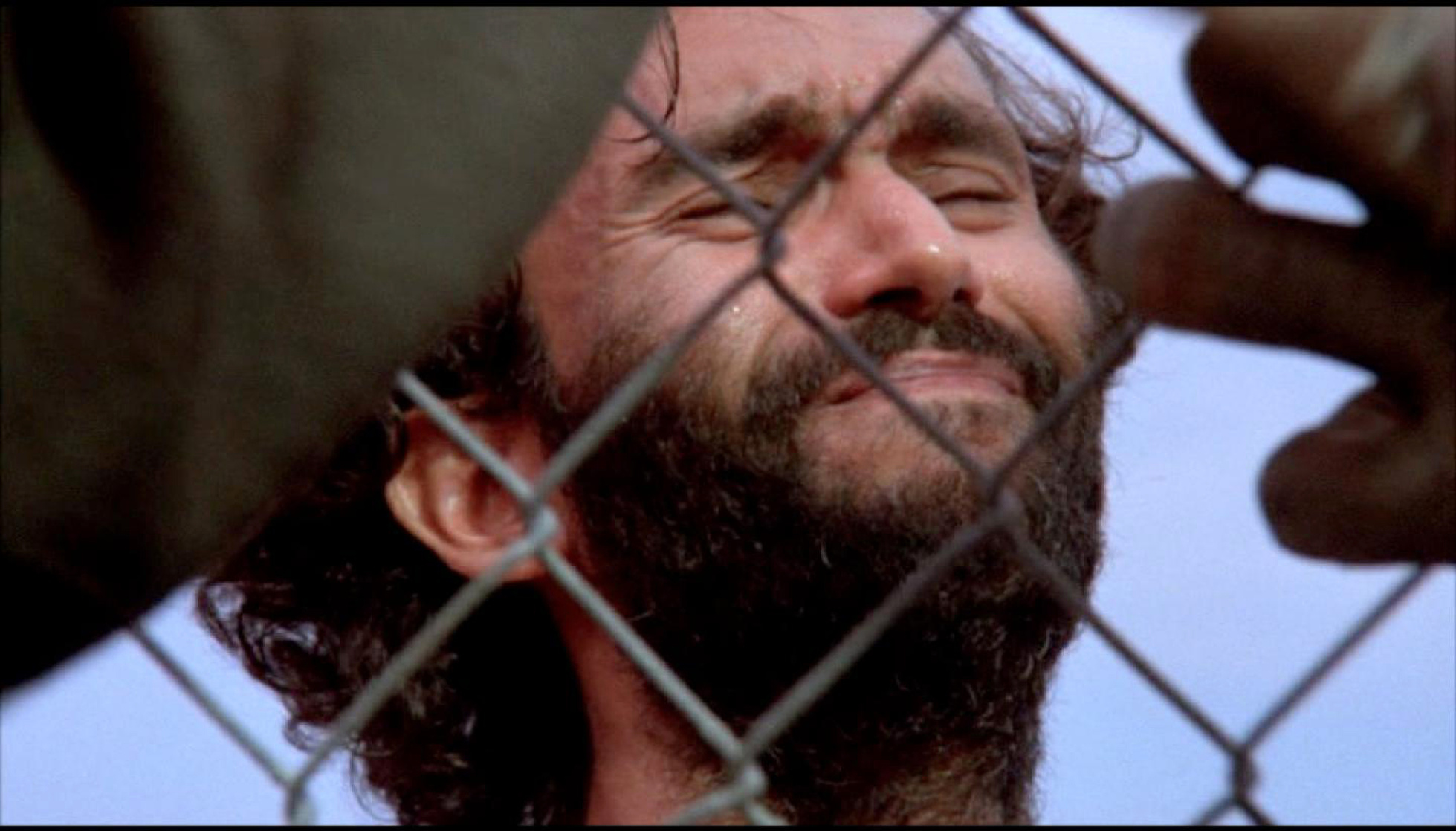 Picture of Anthony Dileo Jr.
