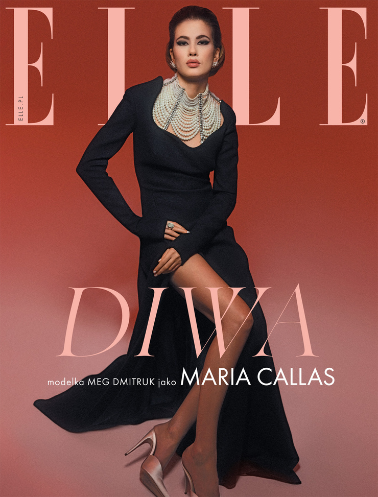 Picture of Meg Dmitruk