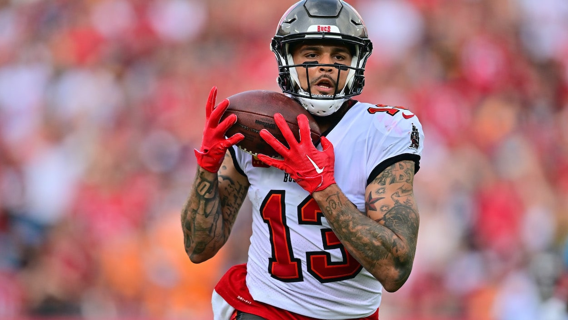 Picture of Mike Evans