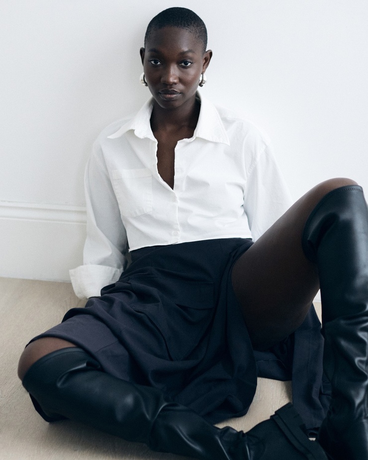 Picture of Arame Fall