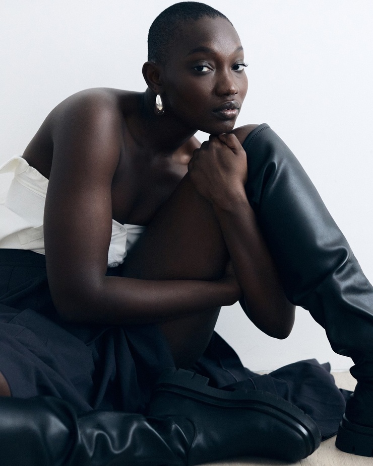 Picture of Arame Fall