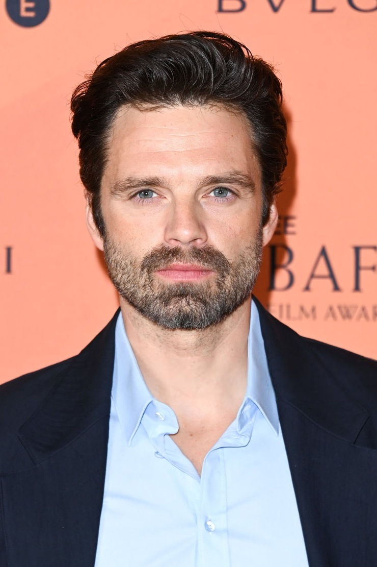 Sebastian Stan picture