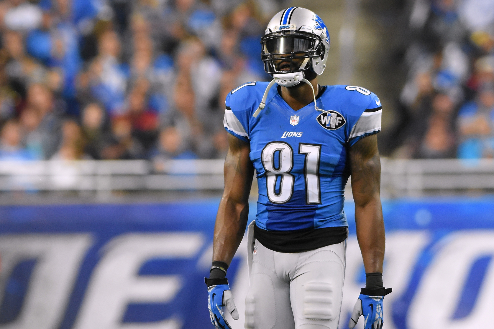 Calvin Johnson picture