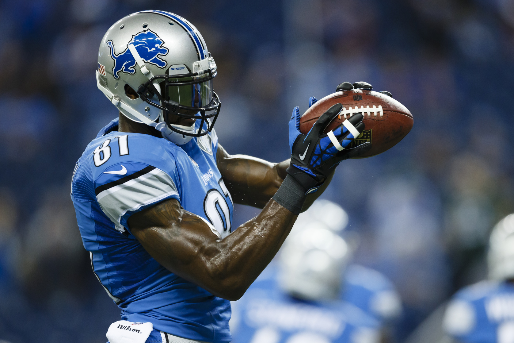 Picture of Calvin Johnson