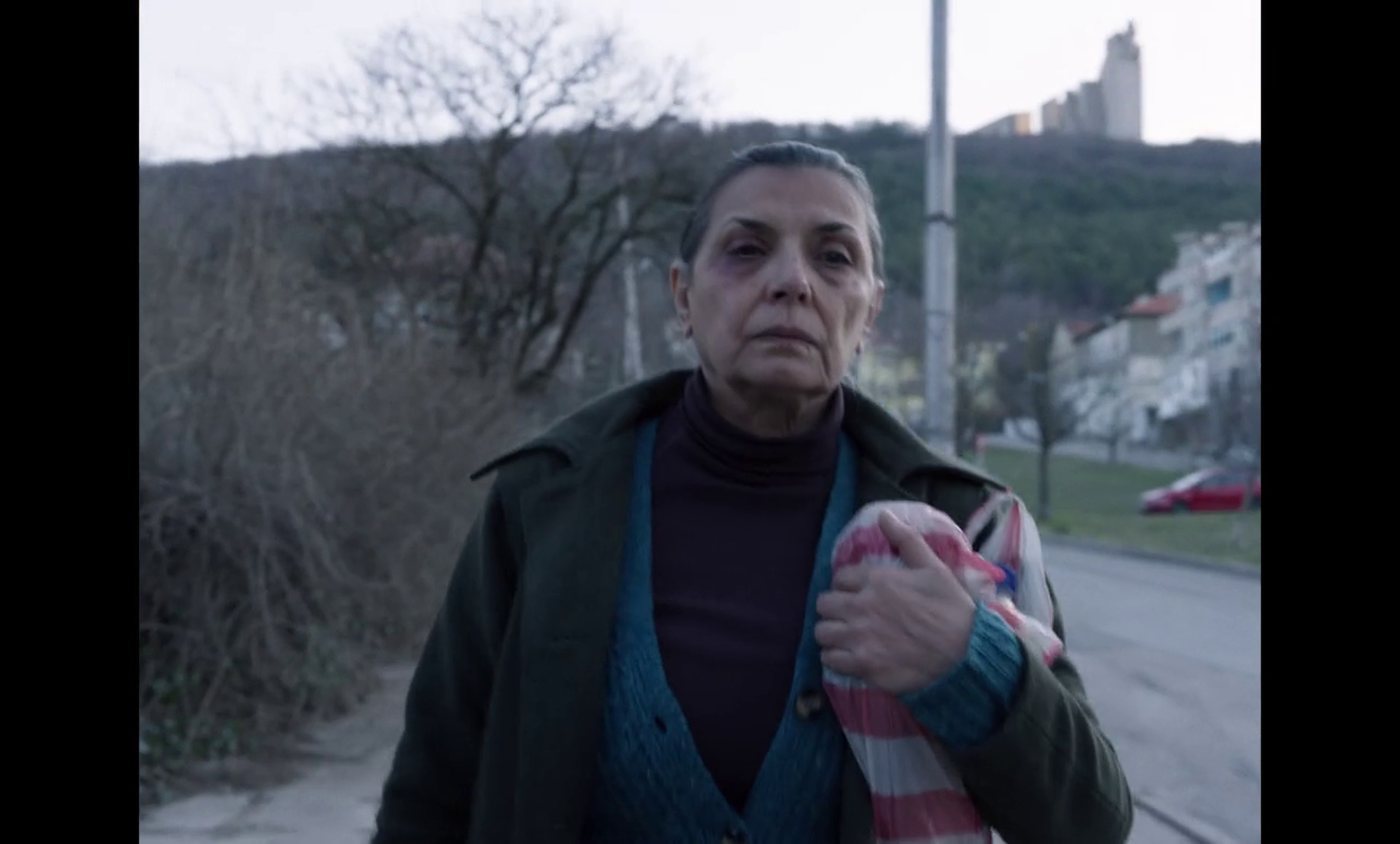 Picture of Blaga's Lessons