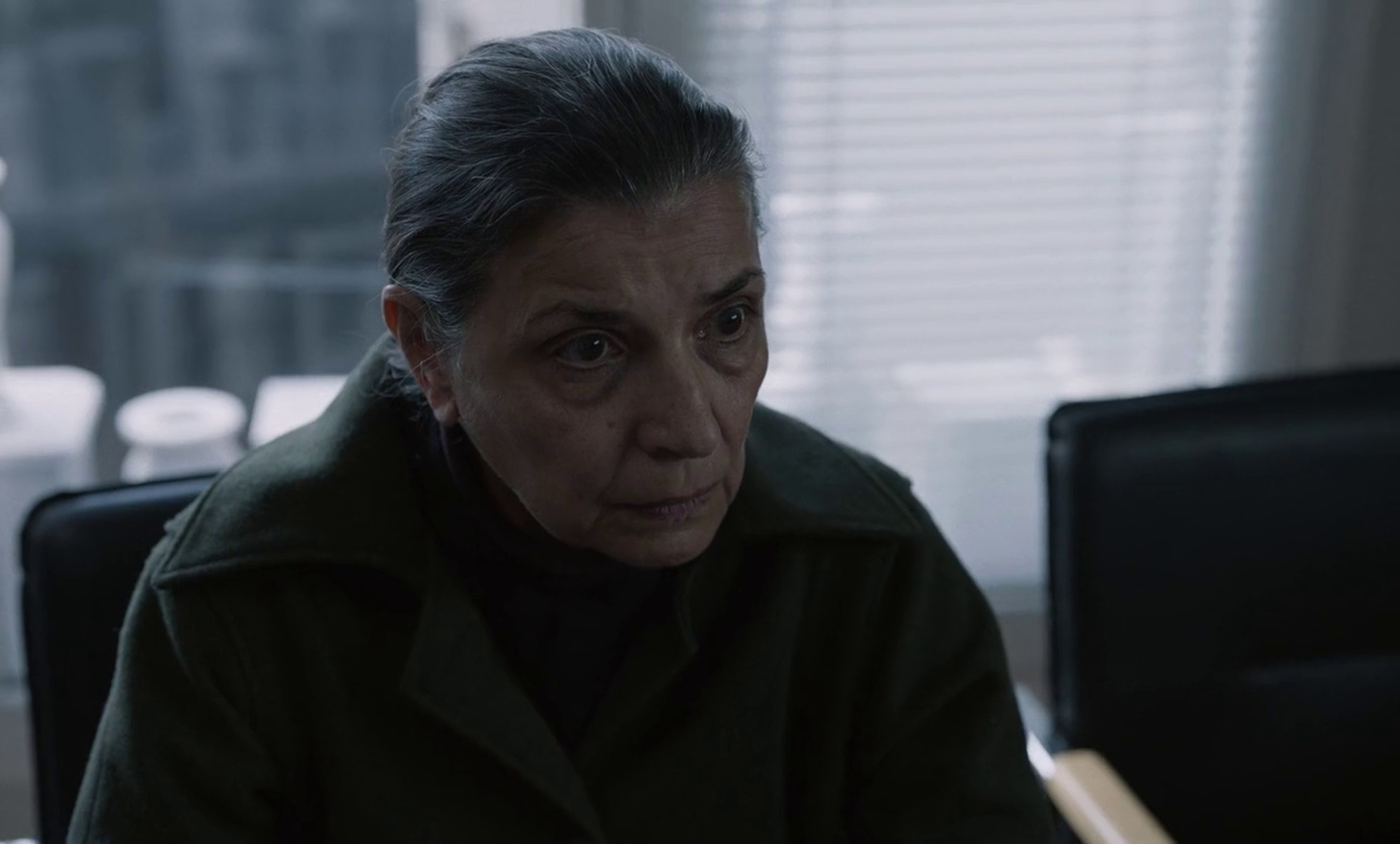 Picture of Blaga's Lessons