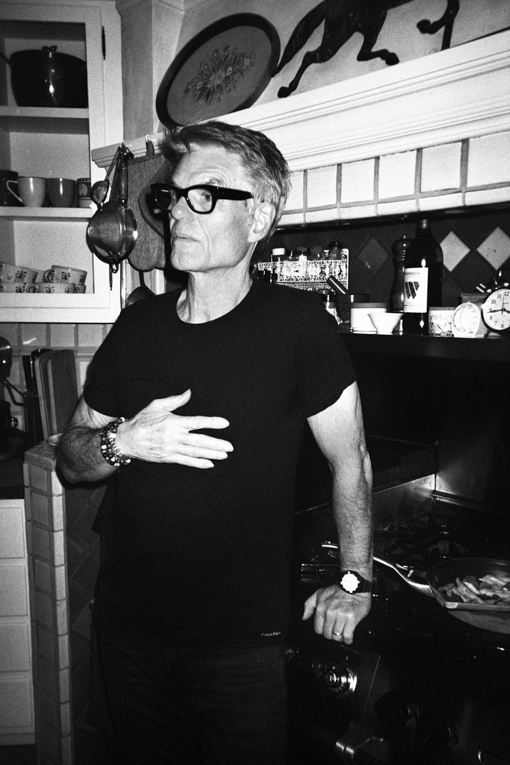 Harry Hamlin picture