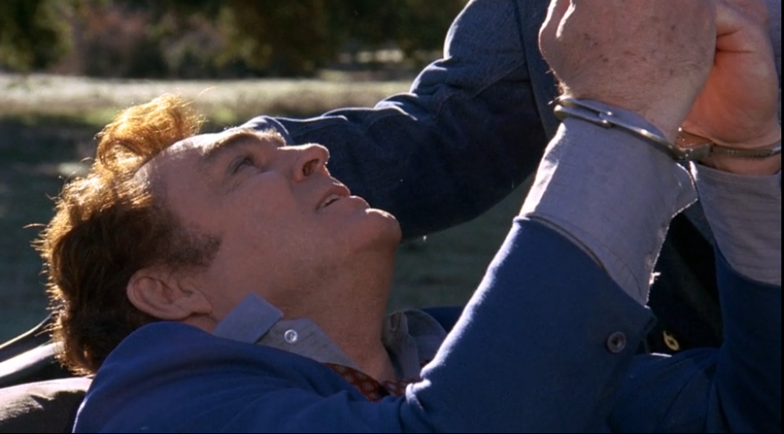 Don Megowan as Garrity in Truck Turner