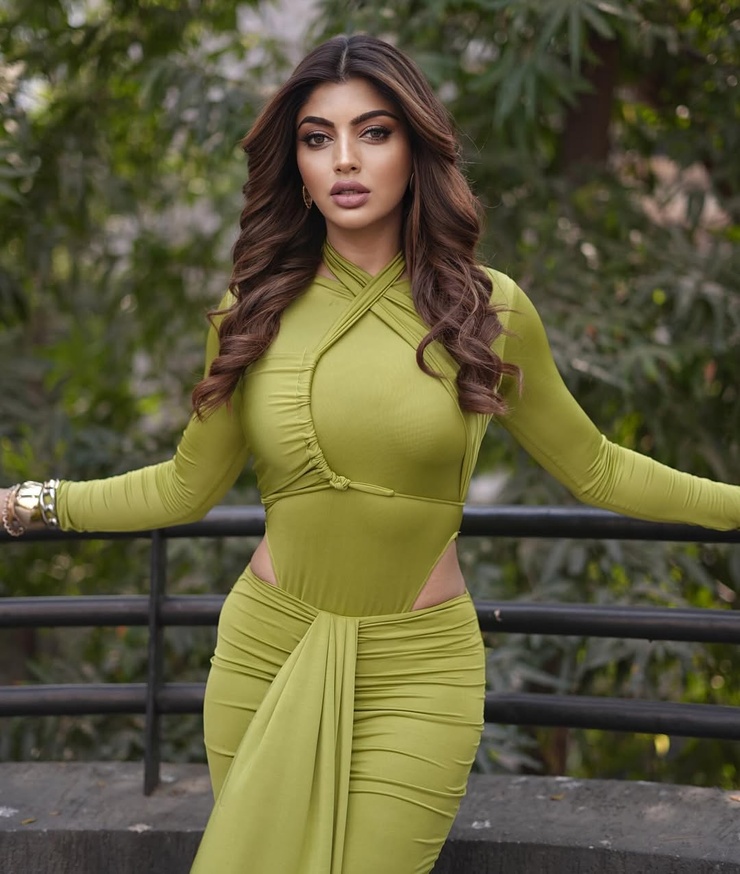 Akanksha Puri picture