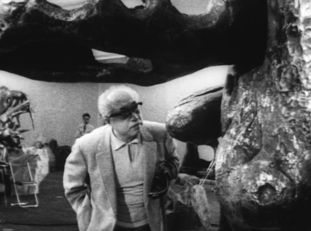 Picture of Inochi: Sôfû no chôkoku