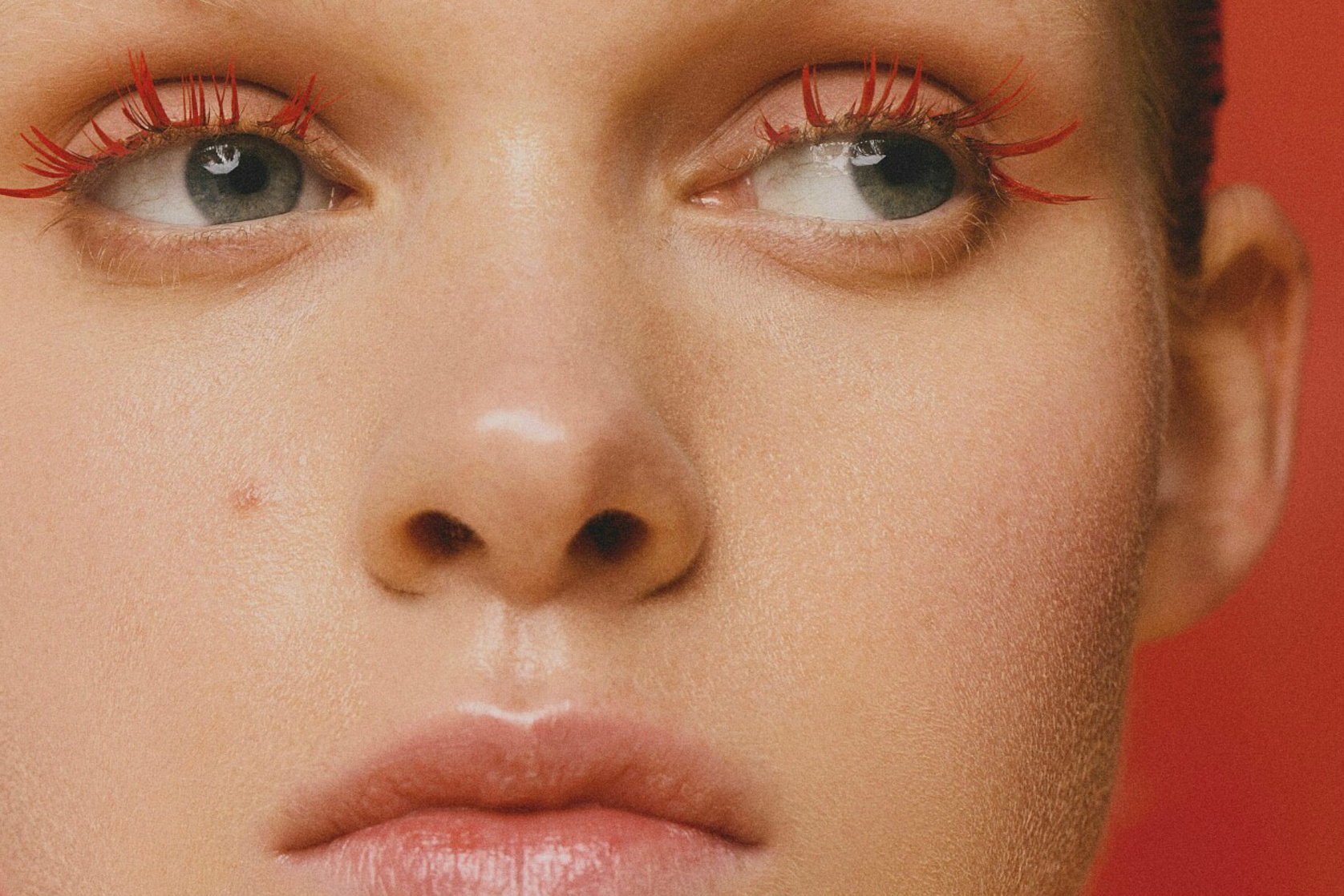 Nanne Groenewegen image