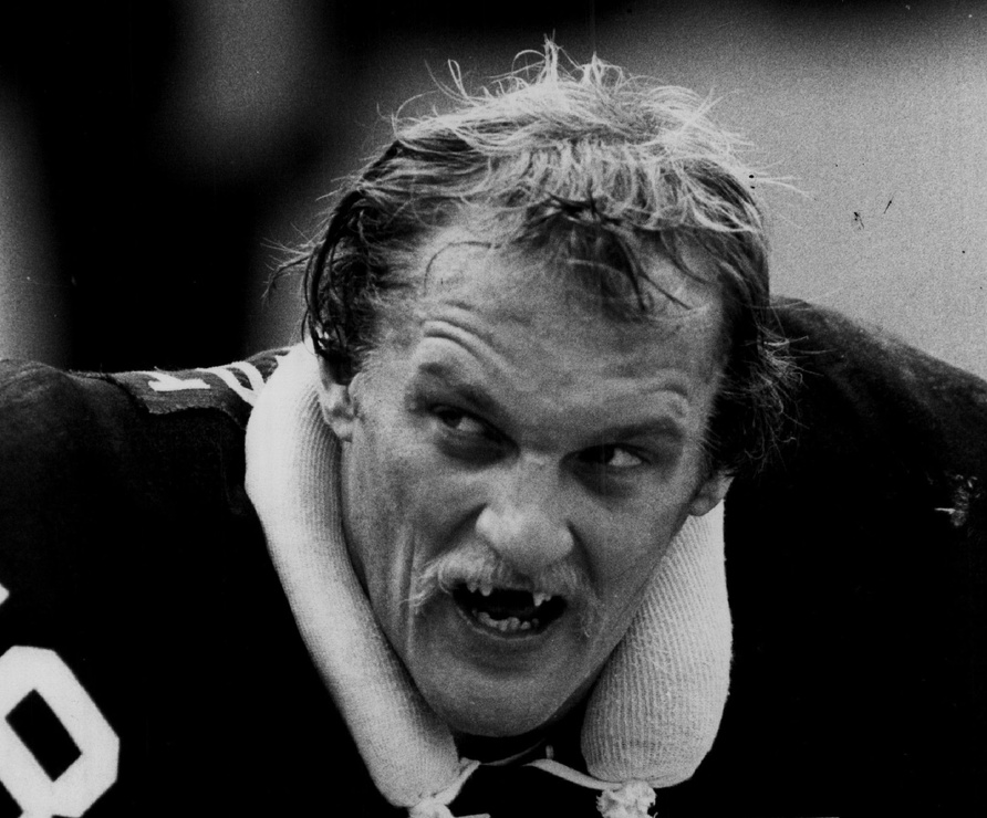 Picture of Jack Lambert (American football)