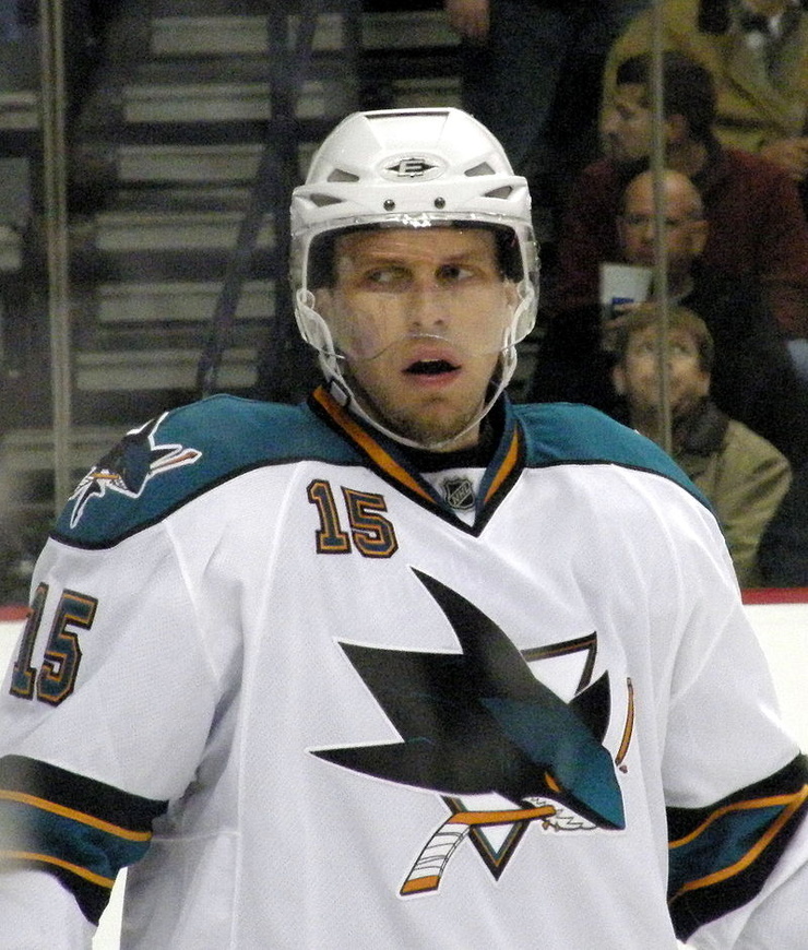 Dany Heatley image