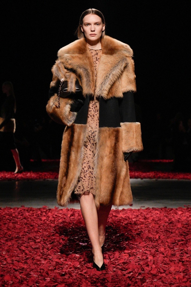 Penelope Ternes picture