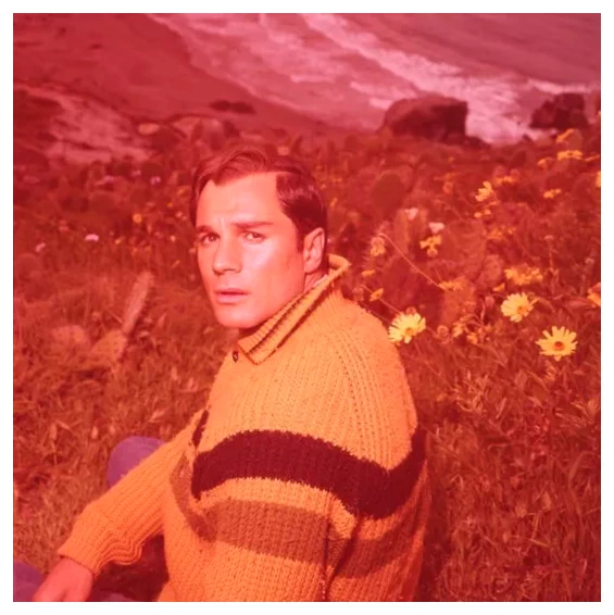 George Maharis