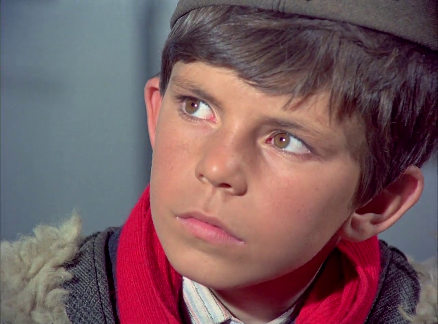 Picture of Lone Wolf