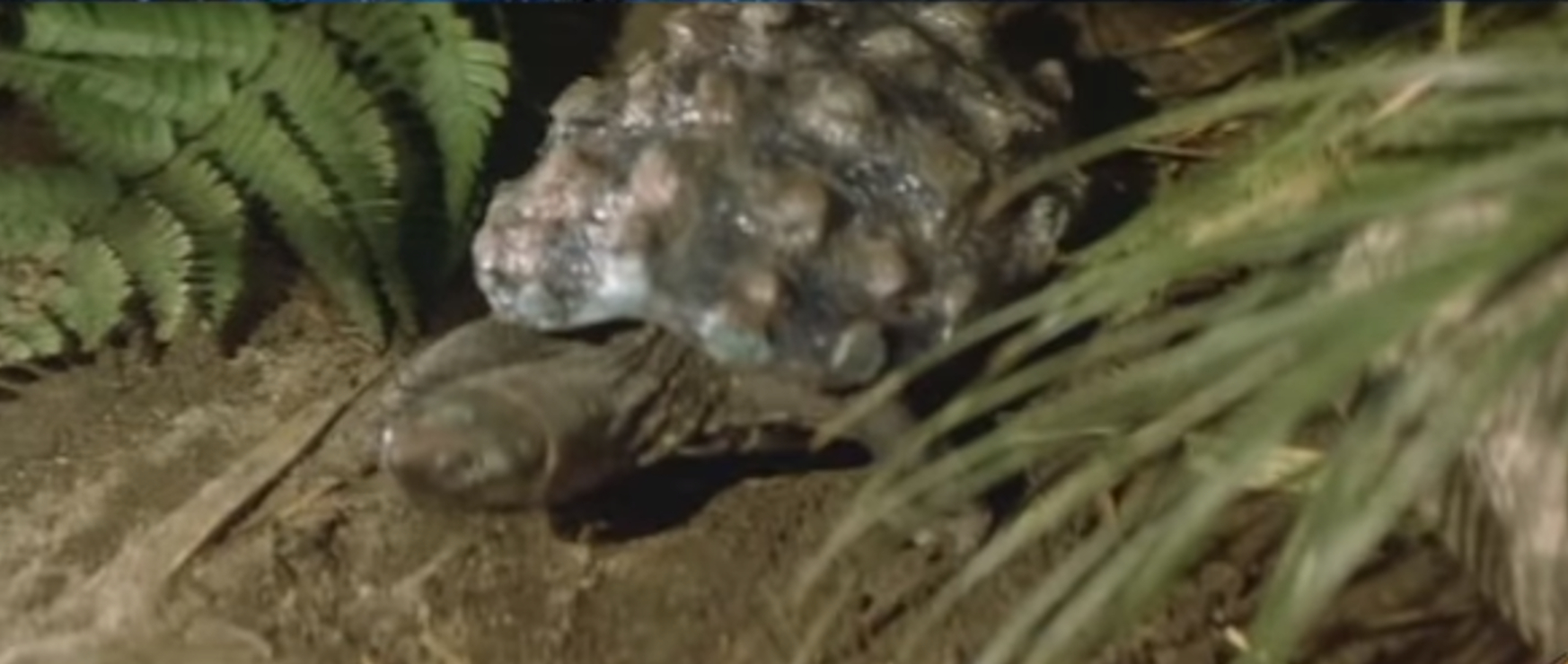 Space Amoeba (aka Yog: Monster from Space - aka: Les envahisseurs de l ...