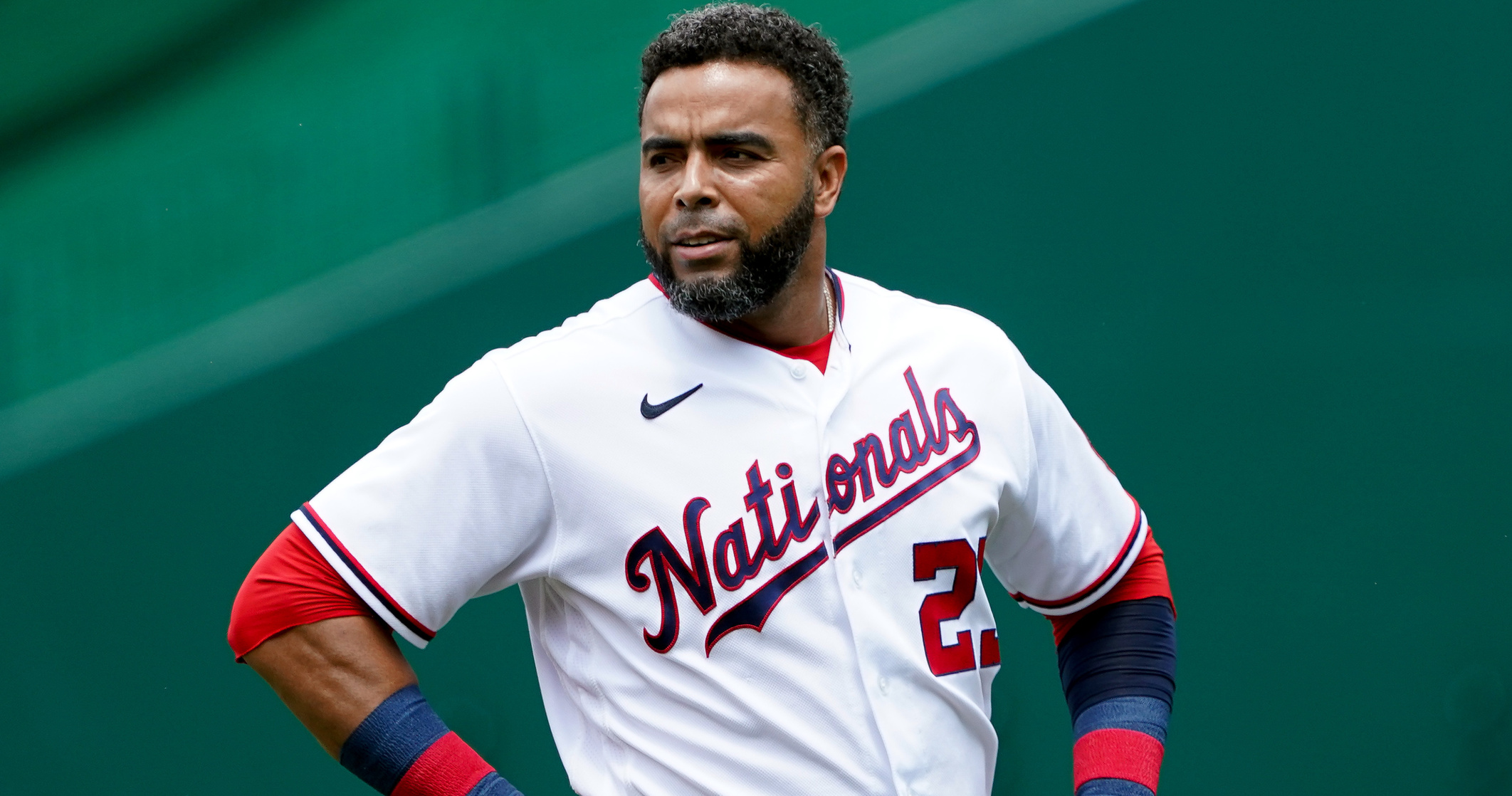 Picture of Nelson Cruz