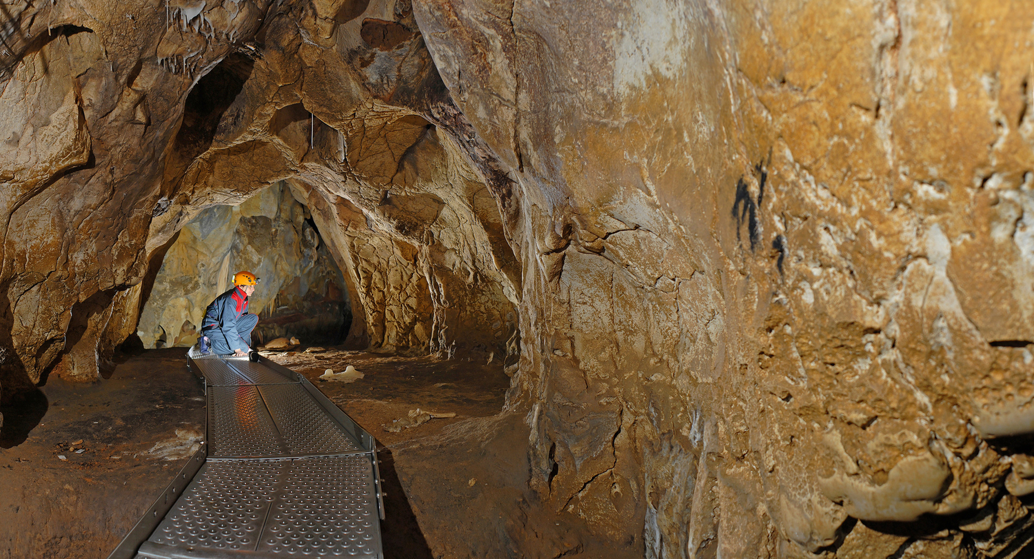 Megaloceros Gallery of Chauvet-Pont-d'Arc Cave