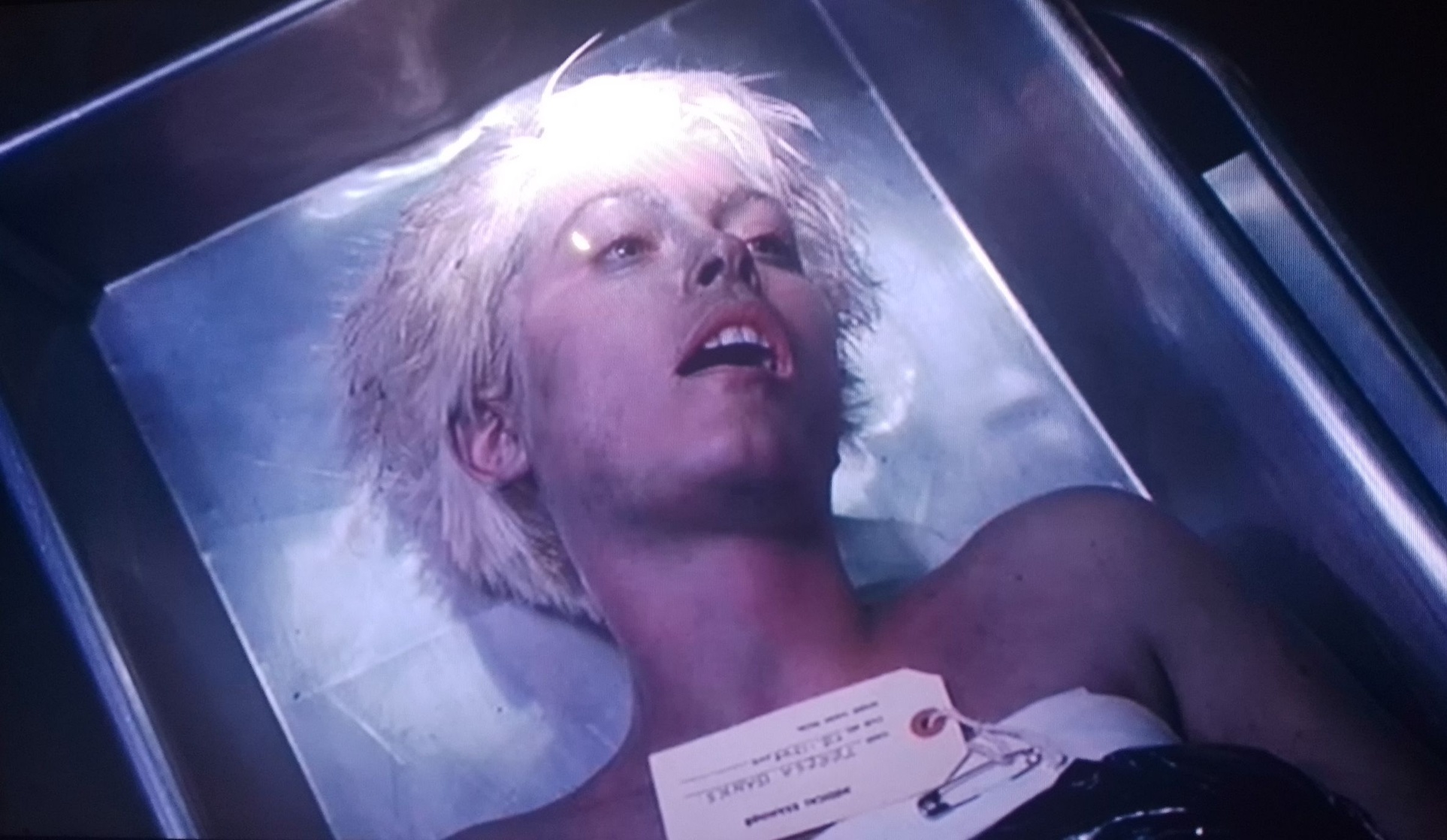 Picture of Pamela Gidley