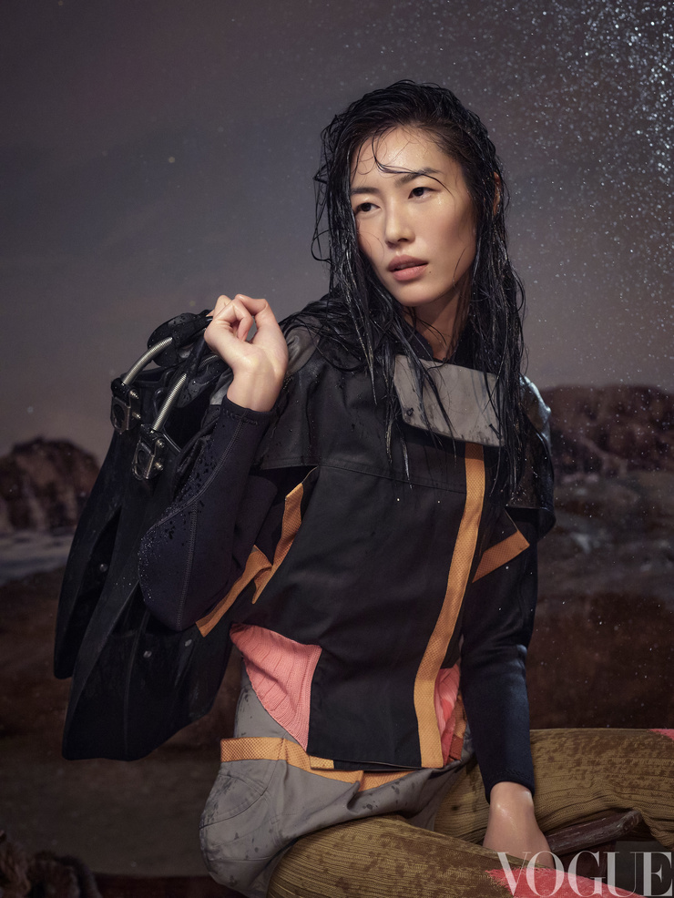 Liu Wen image