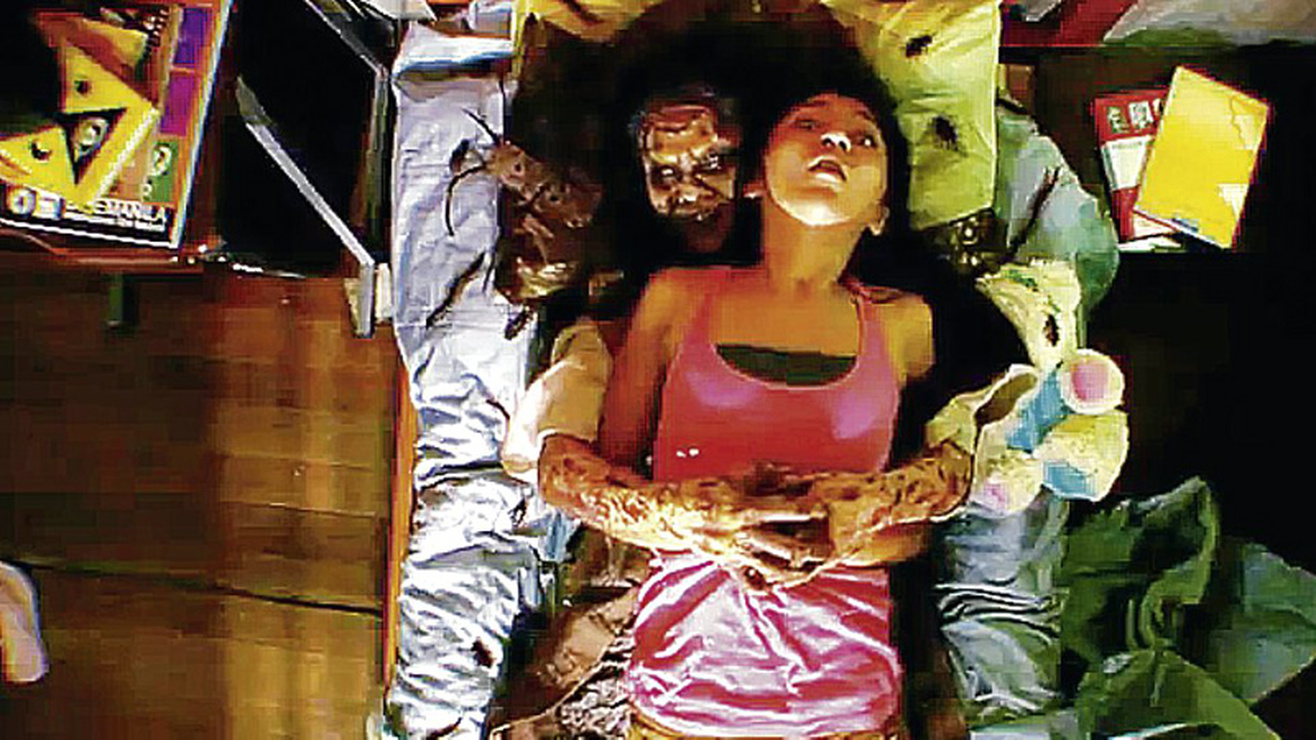 Picture of Shake Rattle Roll 13