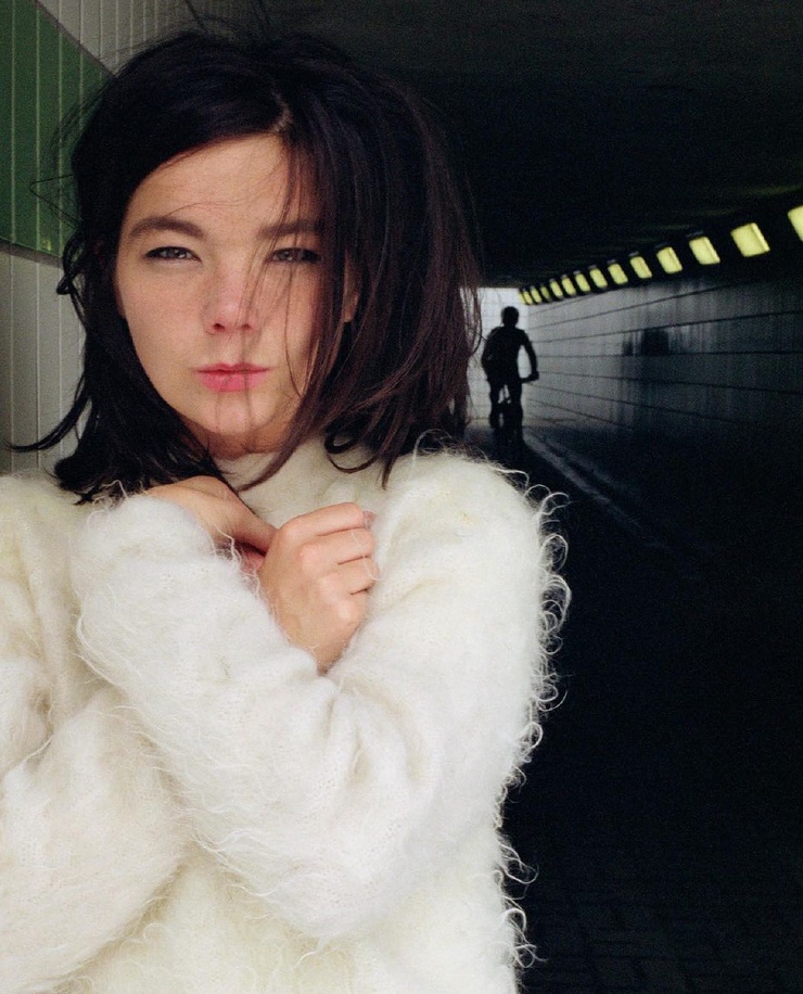 Picture of Björk