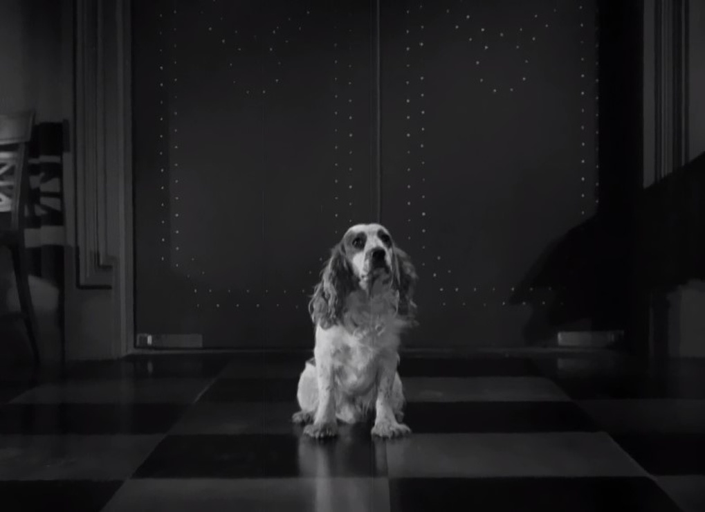 Picture of The Barretts of Wimpole Street