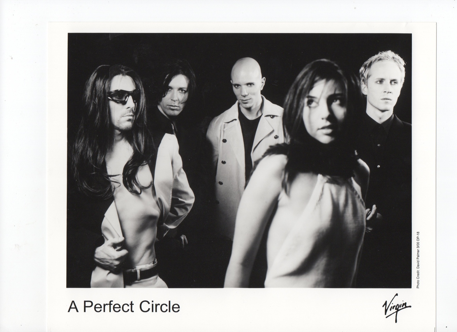 Picture of A Perfect Circle