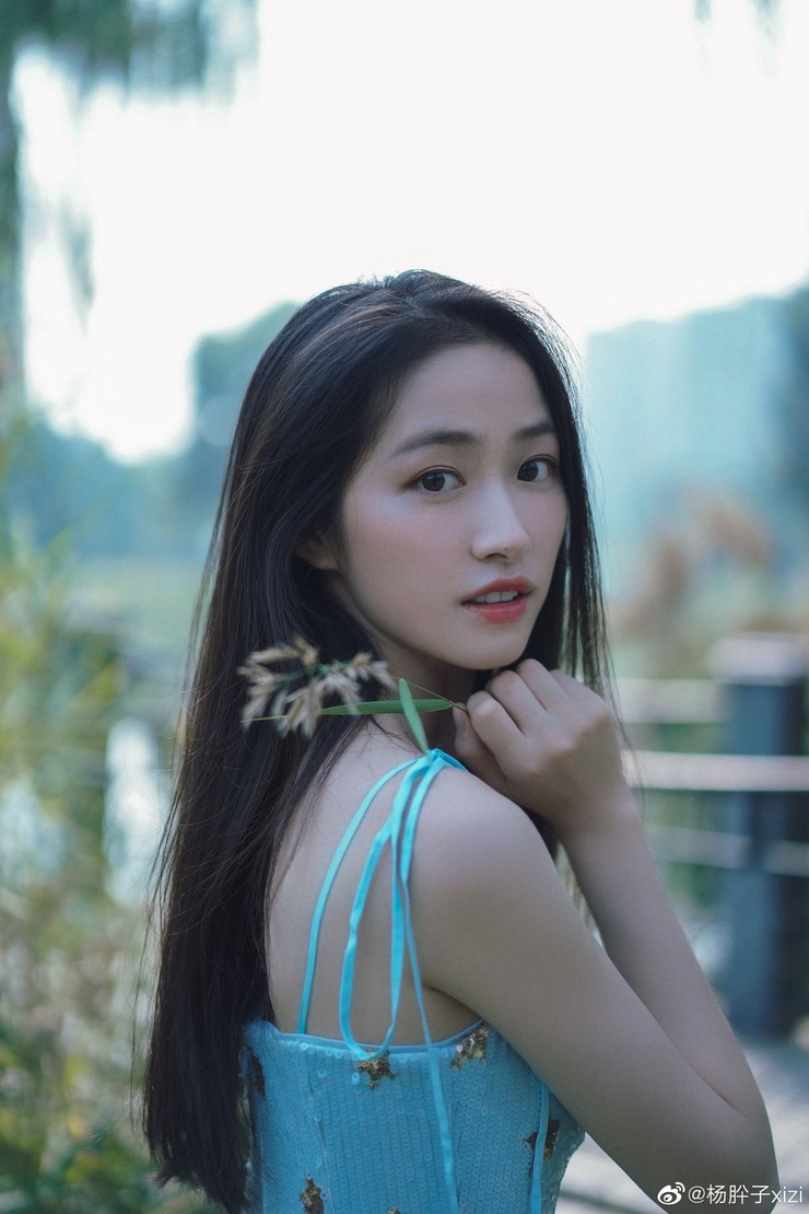 Picture of Yang Xi Zi