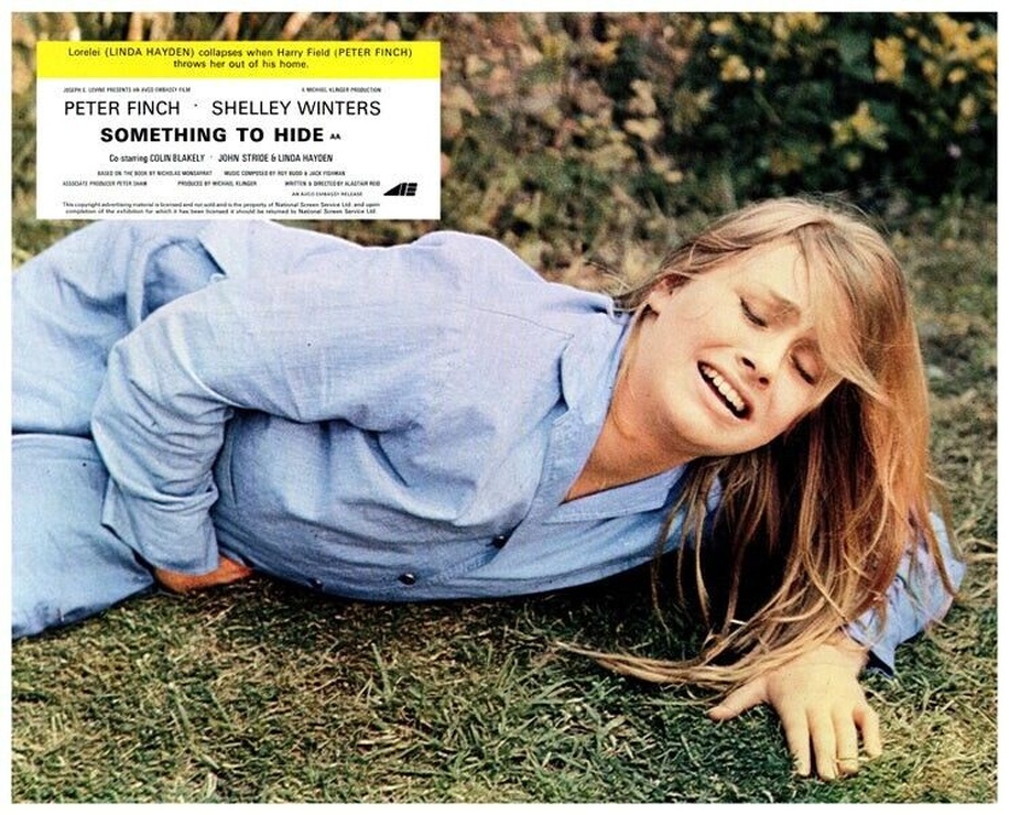 Something to Hide (1972)