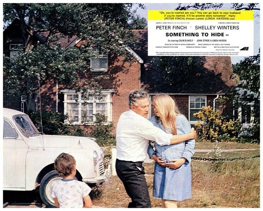 Something to Hide (1972)