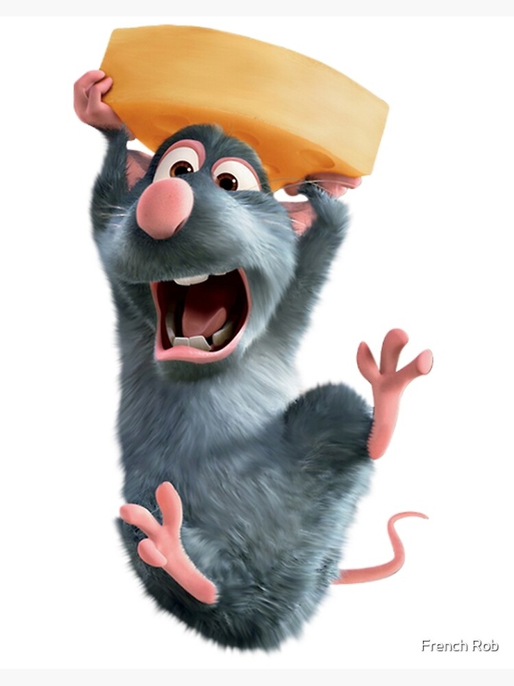 Picture of Remy