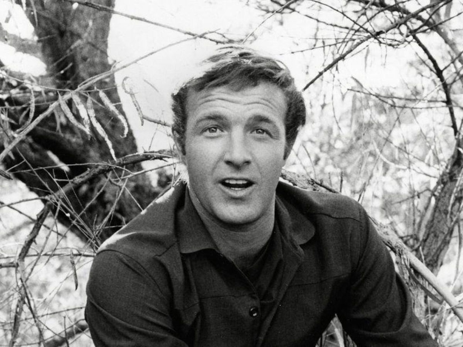 Picture of James Caan