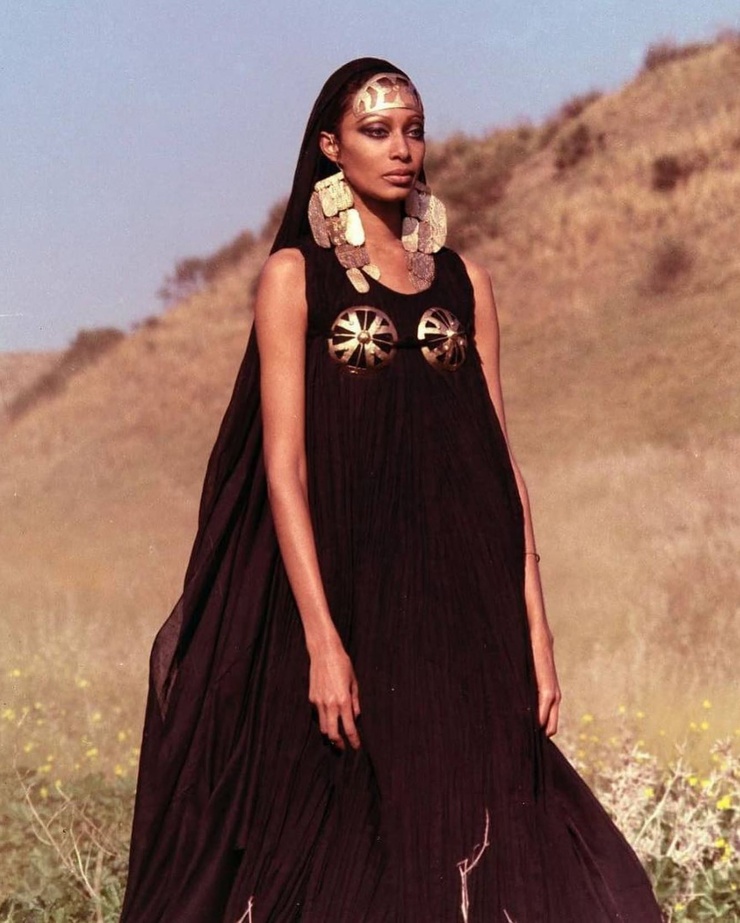 Picture of Donyale Luna