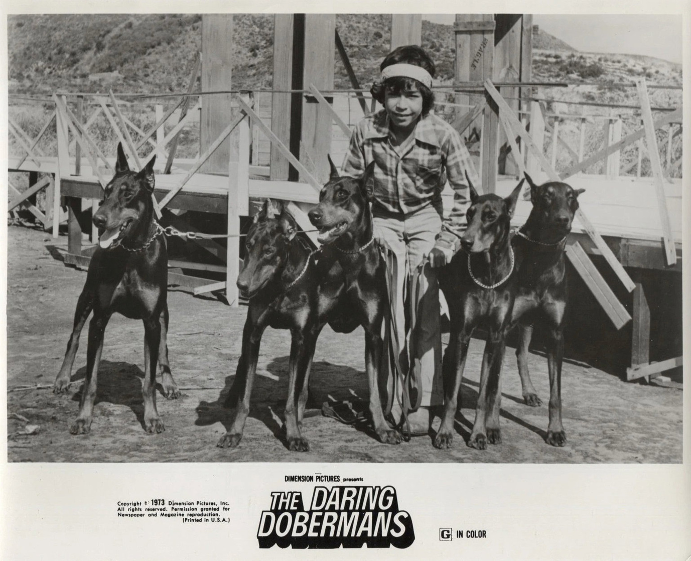 The Daring Dobermans (1973)