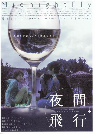 Picture of Midnight Fly