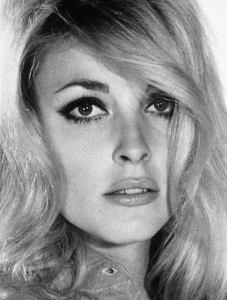 Picture of Sharon Tate